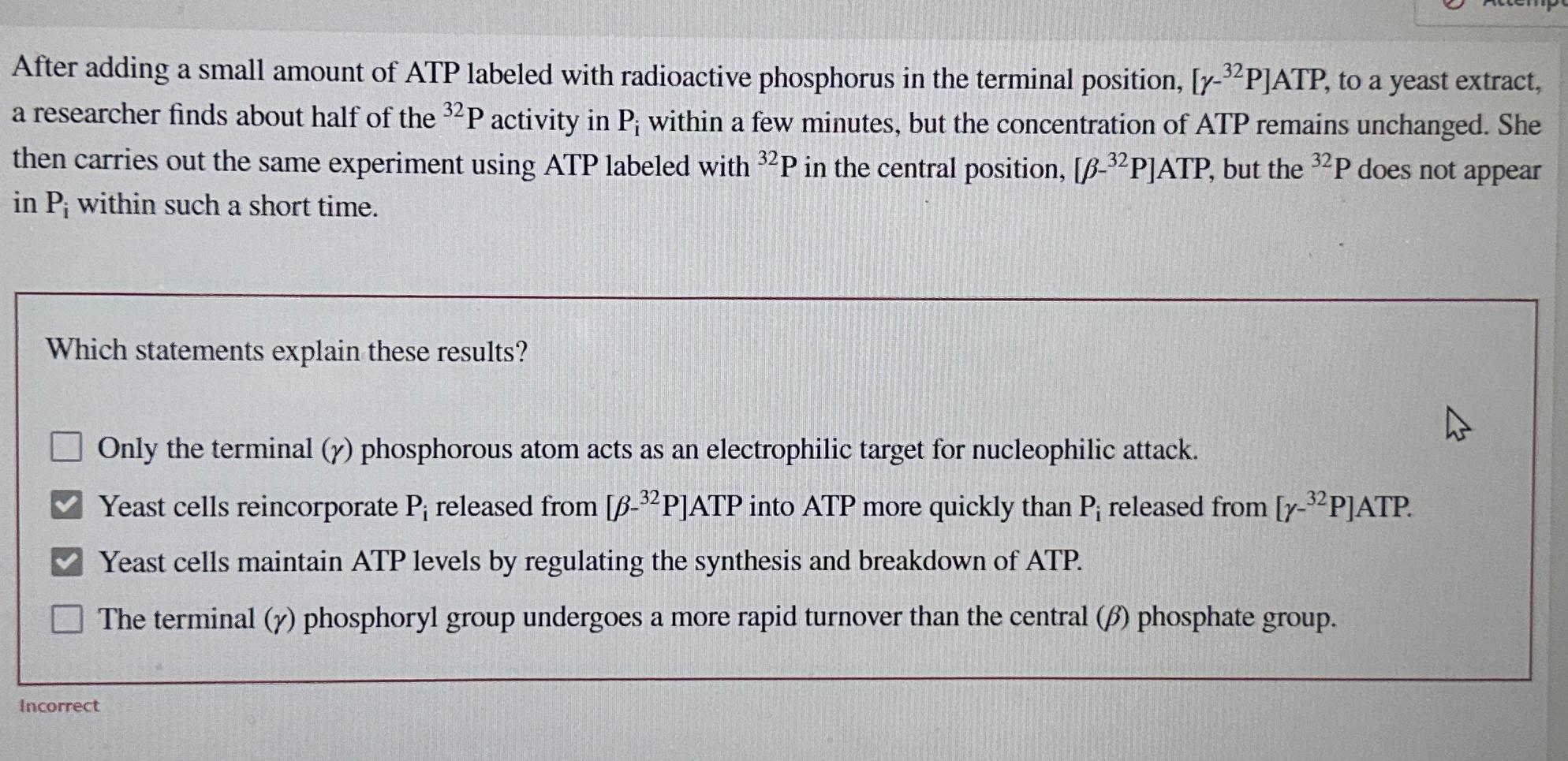 Solved After adding a small amount of ATP labeled with | Chegg.com