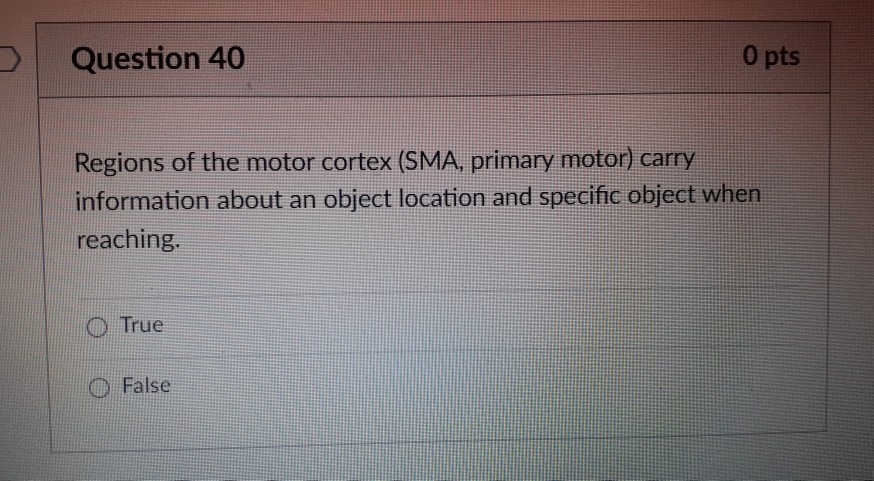 Solved Question 40 O pts Regions of the motor cortex (SMA, | Chegg.com