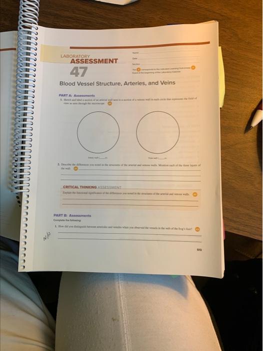 LABORATORY ASSESSMENT 47 Blood Vessel Structure, | Chegg.com