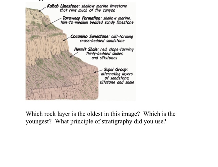 Solved Koidab Limestone: shallow marine limestone that rims | Chegg.com