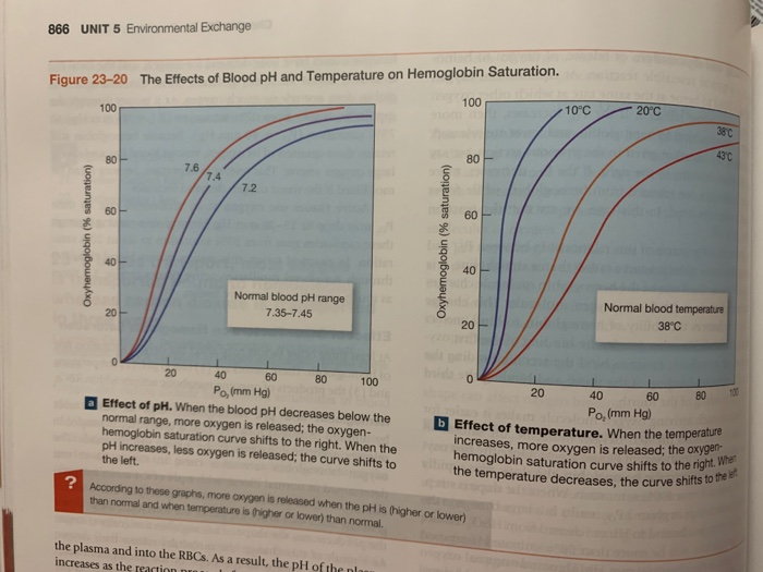 O, TRANSPORT Refer to the Hb O, saturation graph | Chegg.com