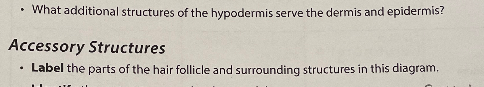Solved Accessory StructuresLabel the parts of the hair | Chegg.com