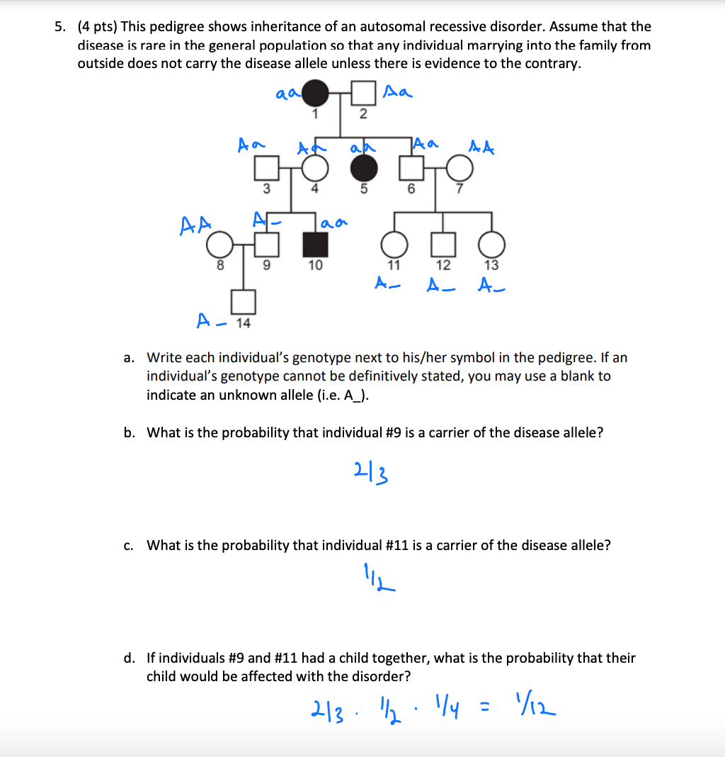 Solved explain this to me please especially how to identify | Chegg.com