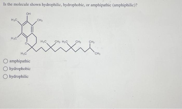 Solved Is the molecule shown hydrophilic, hydrophobic, or | Chegg.com