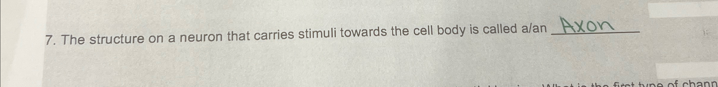 Solved The structure on a neuron that carries stimuli | Chegg.com