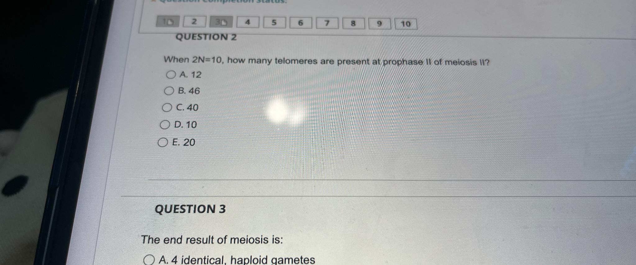 Solved When 2N=10, ﻿how many telomeres are present | Chegg.com