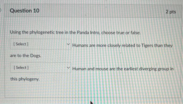 Solved Red pandas and Giant pandas are in the order | Chegg.com