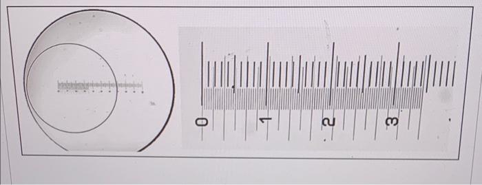 Solved Calculate the length of 1 ocular micrometer division | Chegg.com