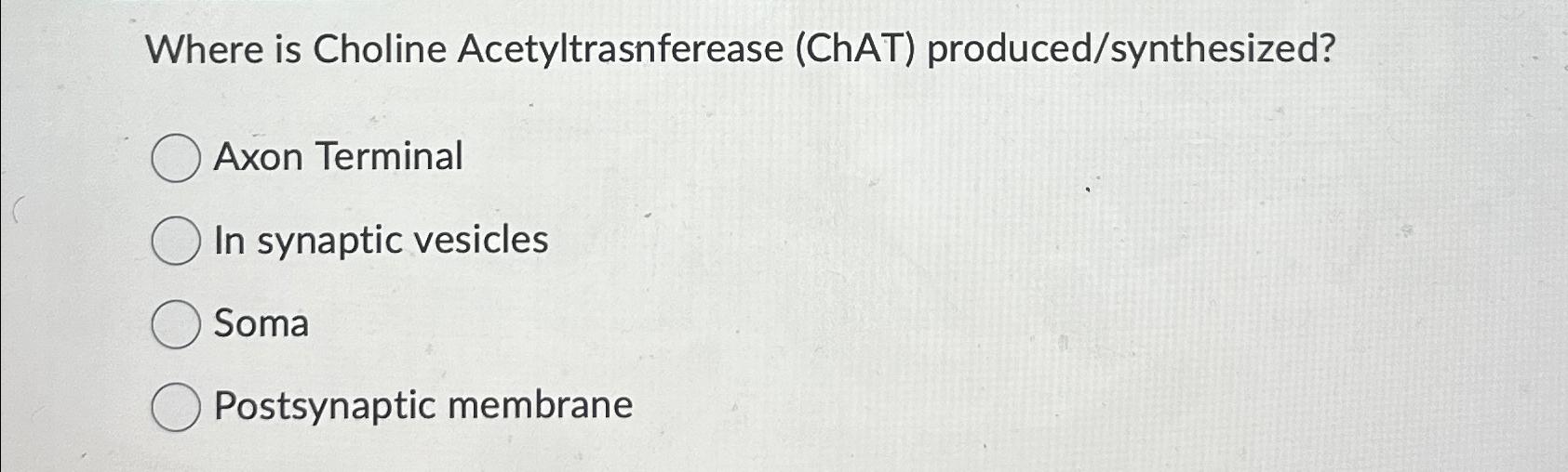 Solved Where is Choline Acetyltrasnferease (ChAT) | Chegg.com