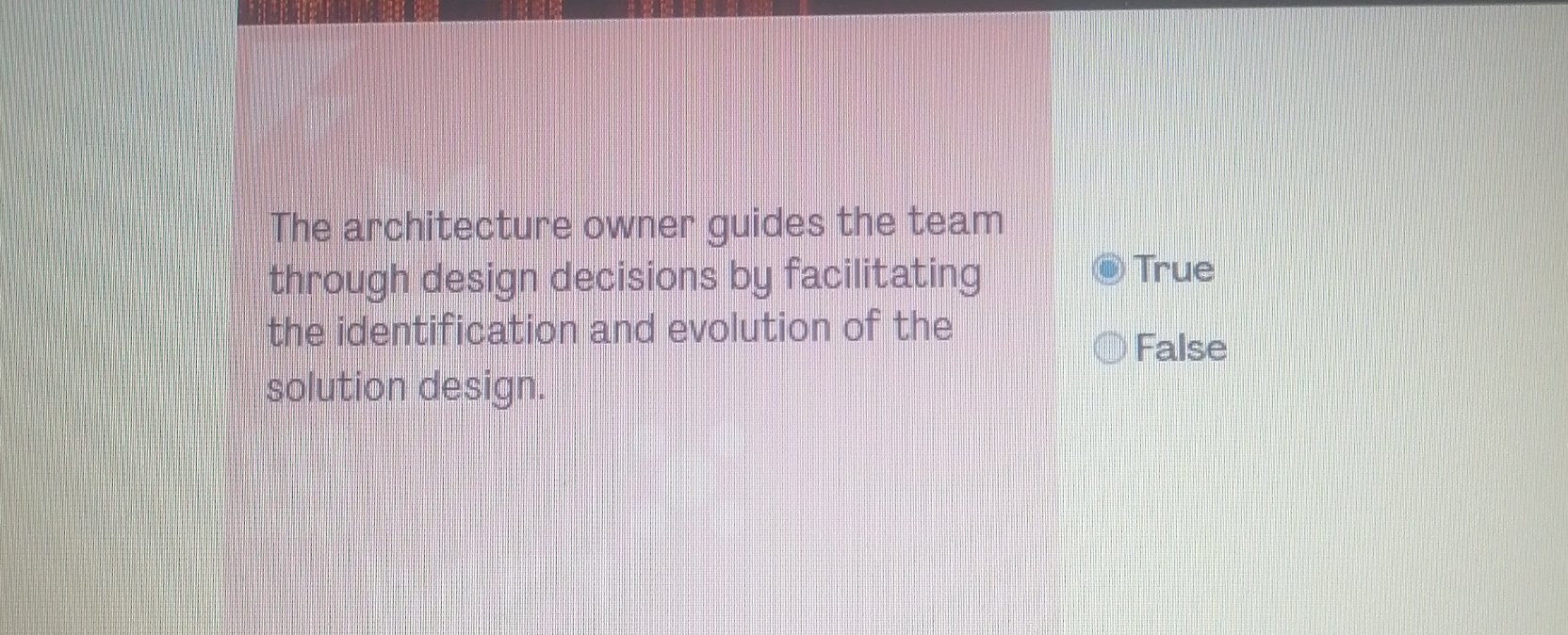 Solved The architecture owner guides the team through design | Chegg.com