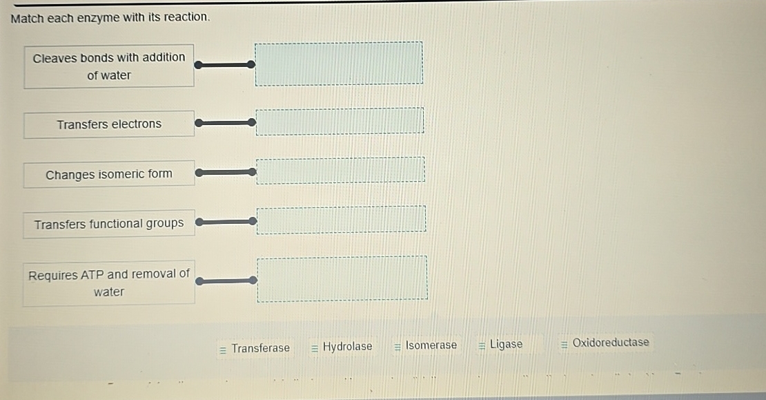 High Quality SOLUTION Match each enzyme with its reaction. ミ | Chegg.com