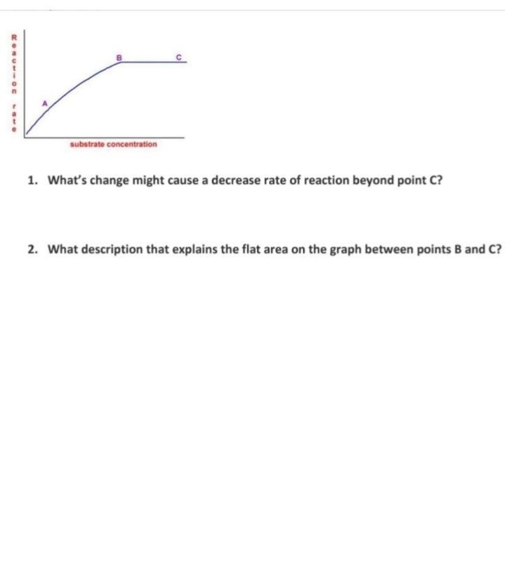 Solved What description that explains the flat area on the | Chegg.com