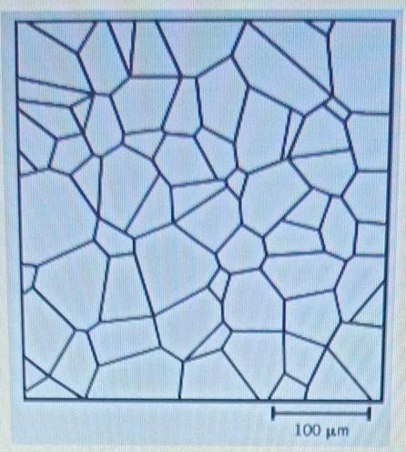 Solved The following is a schematic micrograph that | Chegg.com