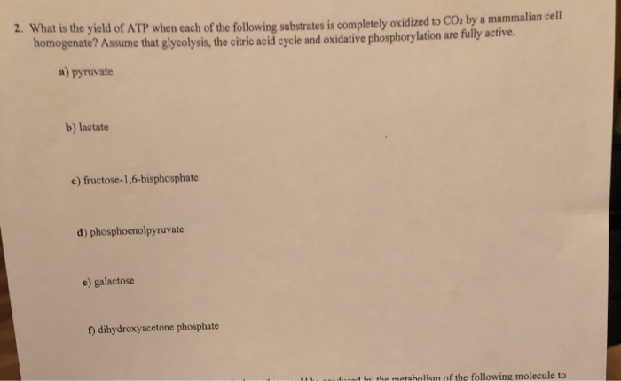 Solved 2 What Is The Yield Of Atp When Each Of The