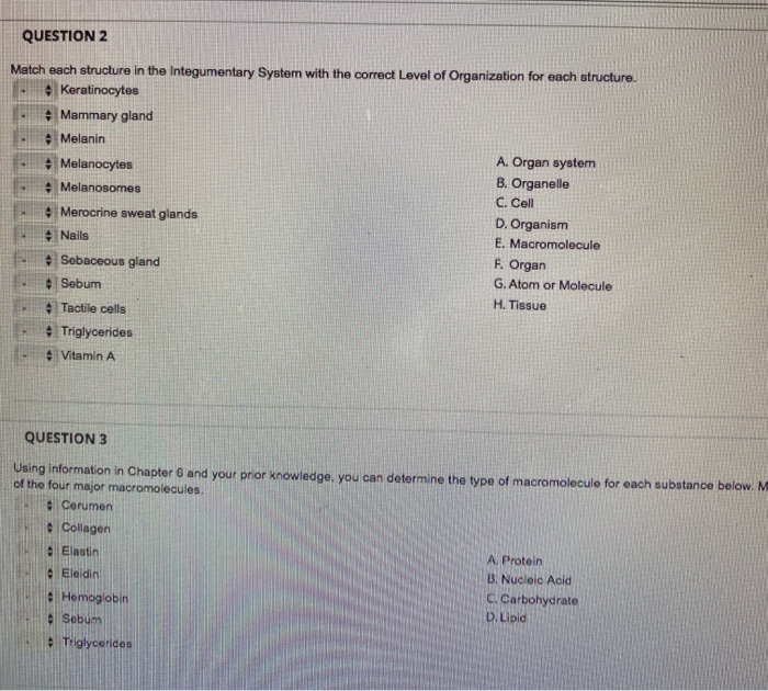 Solved QUESTION 2 Match each structure in the Integumentary | Chegg.com