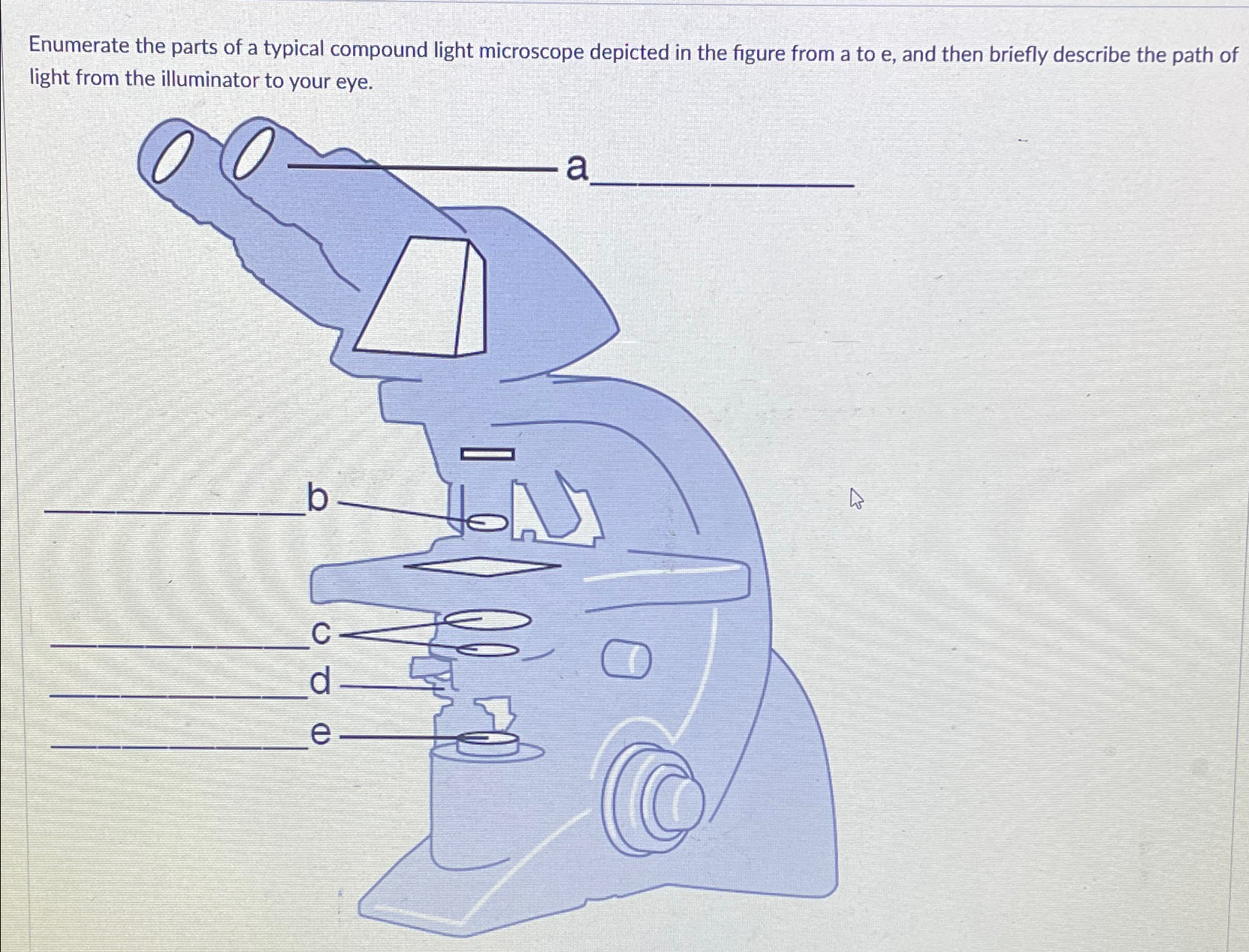 Solved Enumerate the parts of a typical compound light | Chegg.com