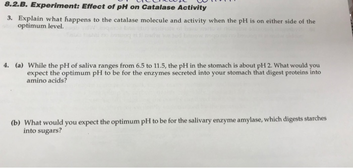 Solved C SLLA 8.2.B. Experiment: Effect of pH on Catalase | Chegg.com