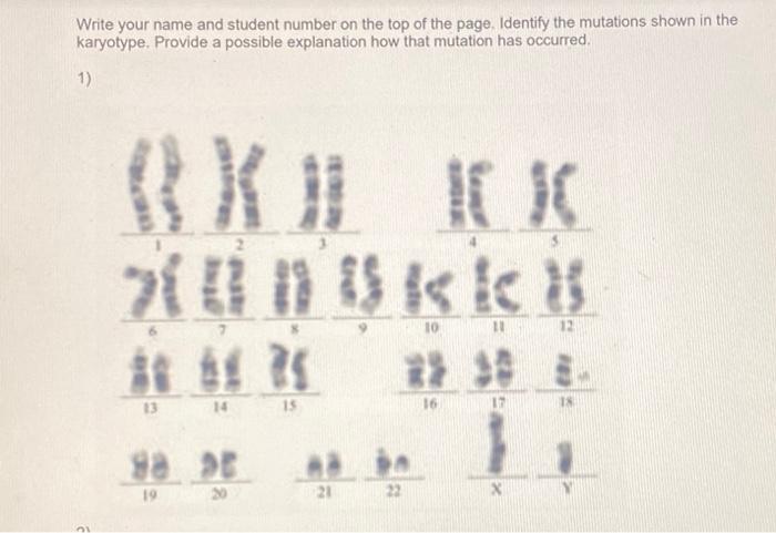Solved Write your name and student number on the top of the | Chegg.com