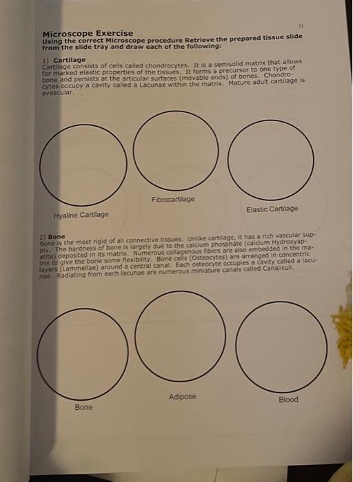 Solved Microscope Exercise Using the correct Microscope | Chegg.com