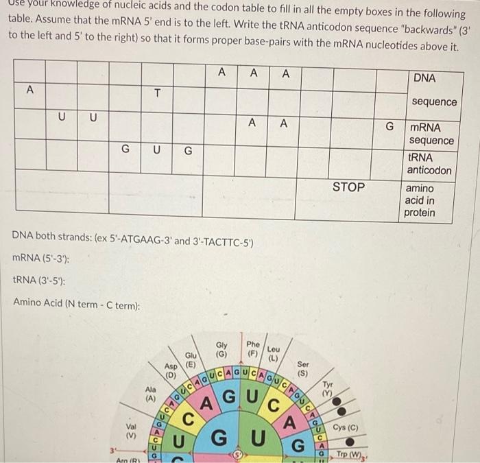Solved Your knowledge of nucleic acids and the codon table | Chegg.com