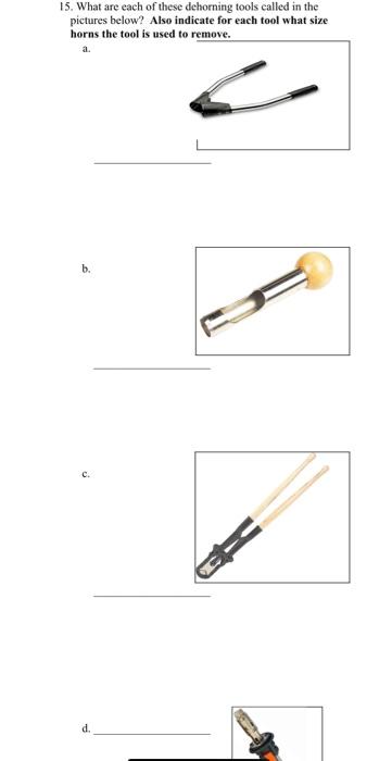 Solved 15. What are each of these dehorning tools called in | Chegg.com