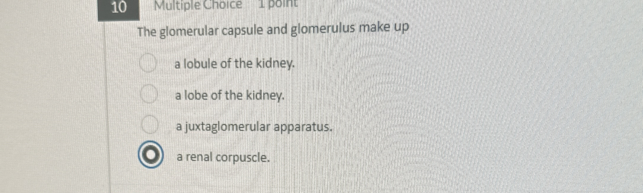 Solved 10Multiple Choice1pointThe glomerular capsule and | Chegg.com