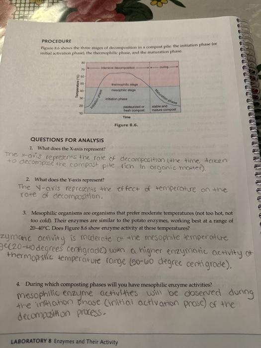 Solved PROCEDURE initial activation phase, the therenephilik | Chegg.com