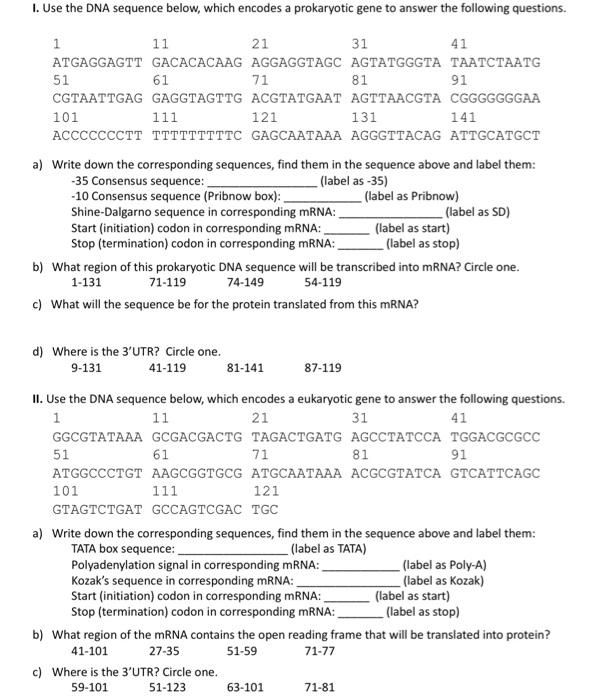 Solved I. Use the DNA sequence below, which encodes a | Chegg.com
