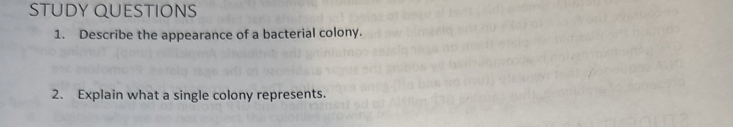 Solved STUDY QUESTIONSDescribe the appearance of a bacterial | Chegg.com