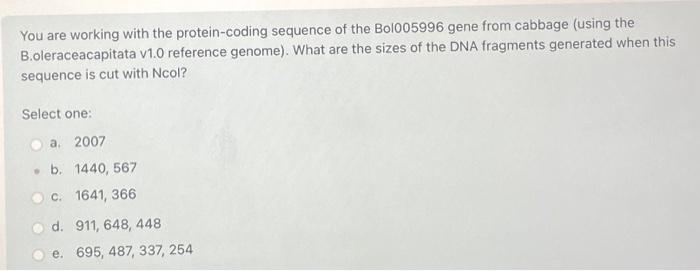 Solved You are working with the protein-coding sequence of | Chegg.com