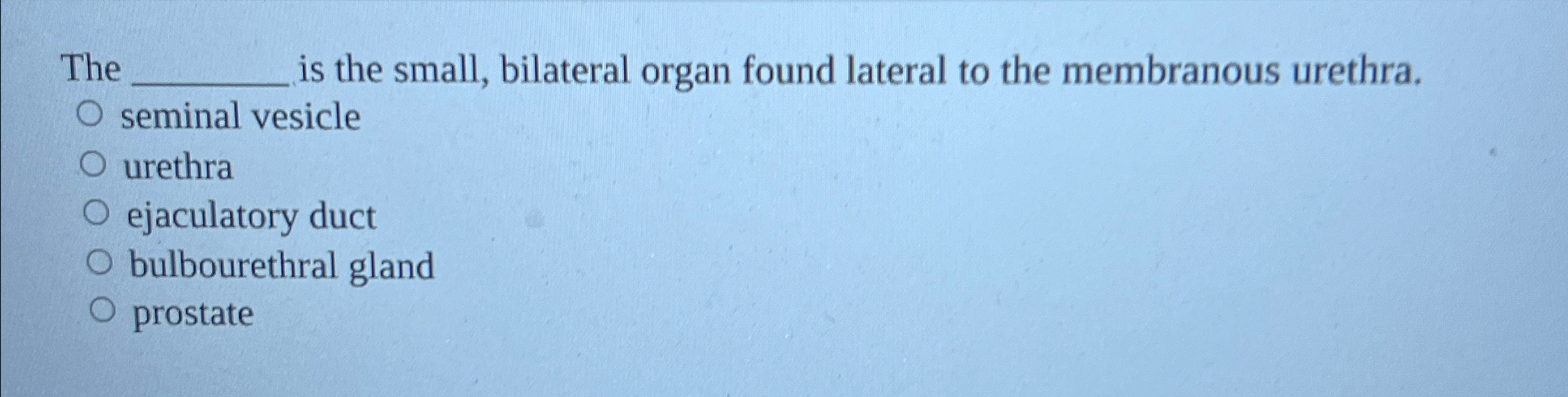 Solved The q, ﻿is the small, bilateral organ found lateral | Chegg.com