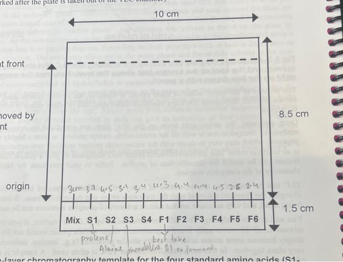 Solved 1. Draw a scaled diagram of your TLC plate (10×10 | Chegg.com
