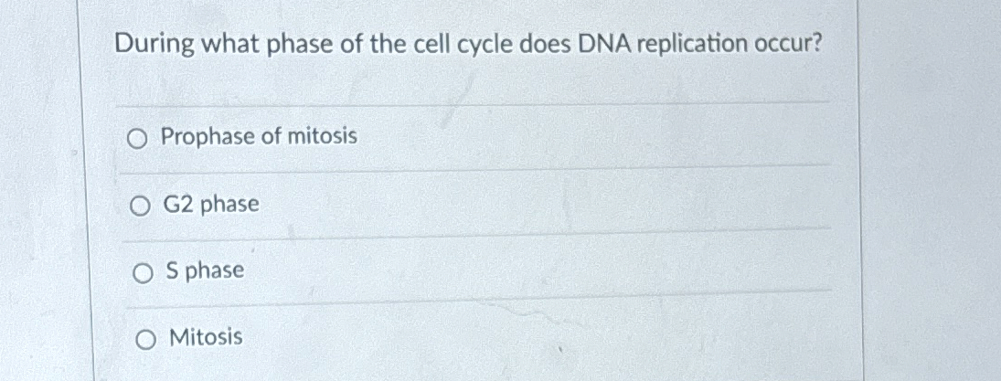 Solved During what phase of the cell cycle does DNA | Chegg.com