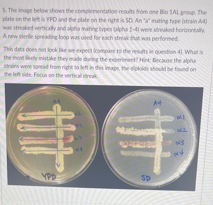 Solved 5. The image below shows the complementation results | Chegg.com