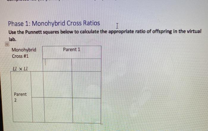 Solved Phase 1: Monohybrid Cross Ratios I Use the Punnett | Chegg.com