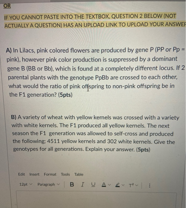 Solved OR IF YOU CANNOT PASTE INTO THE TEXTBOX, QUESTION 2 | Chegg.com Solved OR IF YOU CANNOT PASTE INTO THE TEXTBOX, QUESTION 2 | Chegg.com