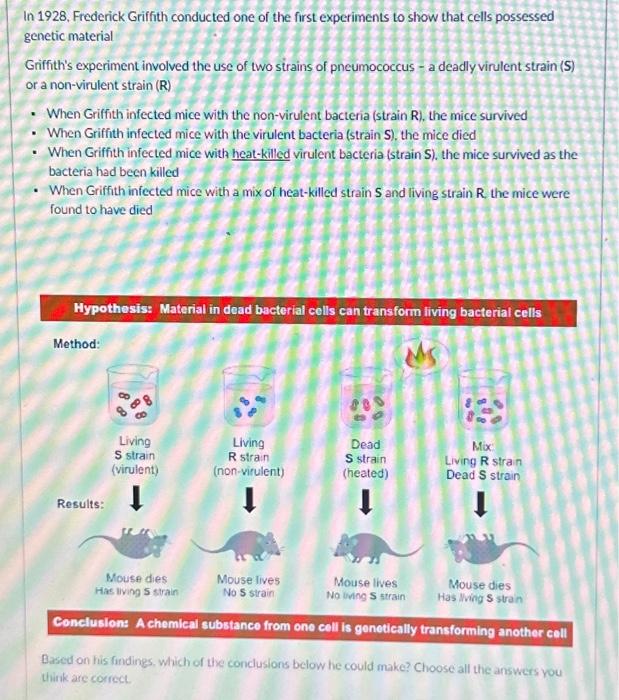Solved In 1928, Frederick Griffith conducted one of the | Chegg.com