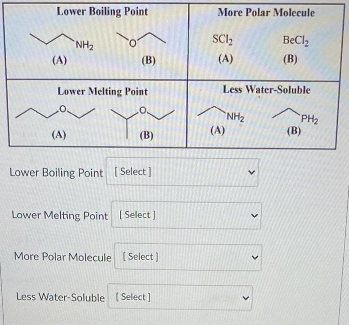 Solved Lower Boiling Point More Polar Molecule NH2 BeCl2 | Chegg.com