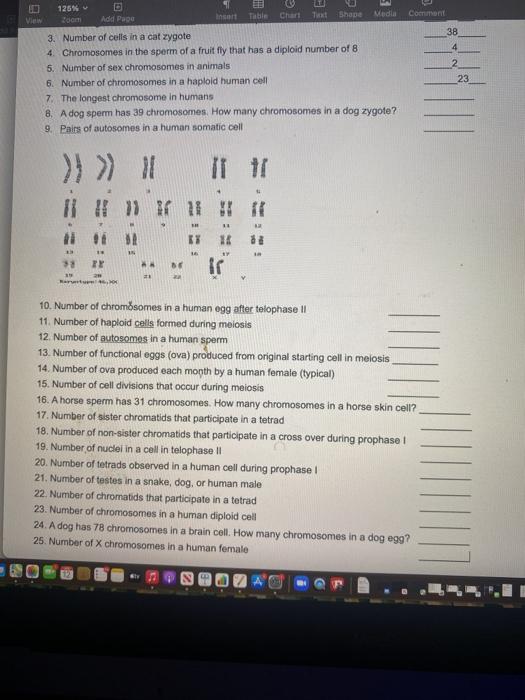 Solved Count 38 126% D View Zoom Add Page insert Table Chart | Chegg.com