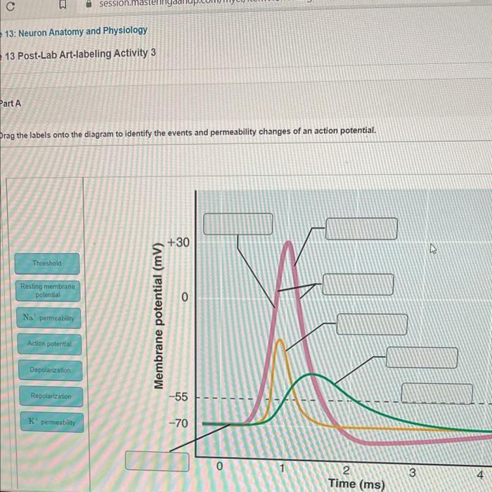 Solved Fill In The Balnks Order Top To Bottom Or Left To