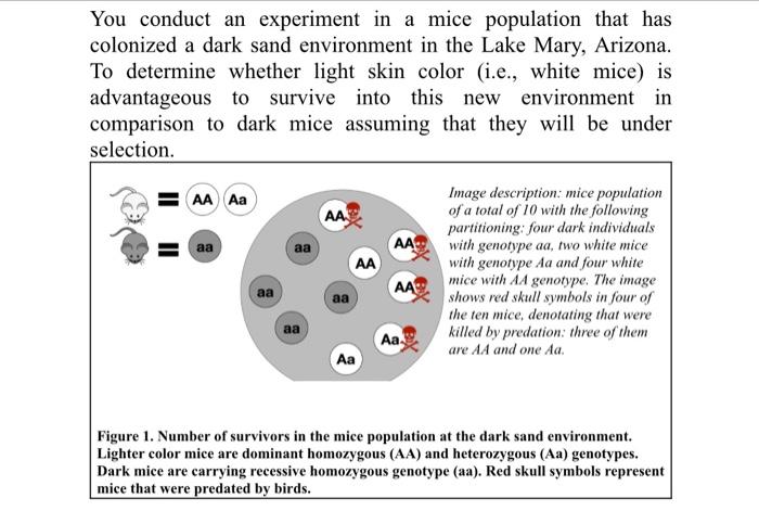 Solved You conduct an experiment in a mice population that | Chegg.com