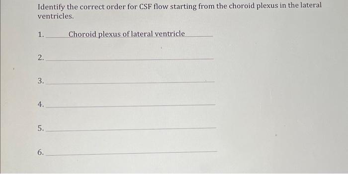 Solved Identify the correct order for CSF flow starting from | Chegg.com