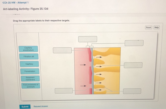 Solved Question | Chegg.com