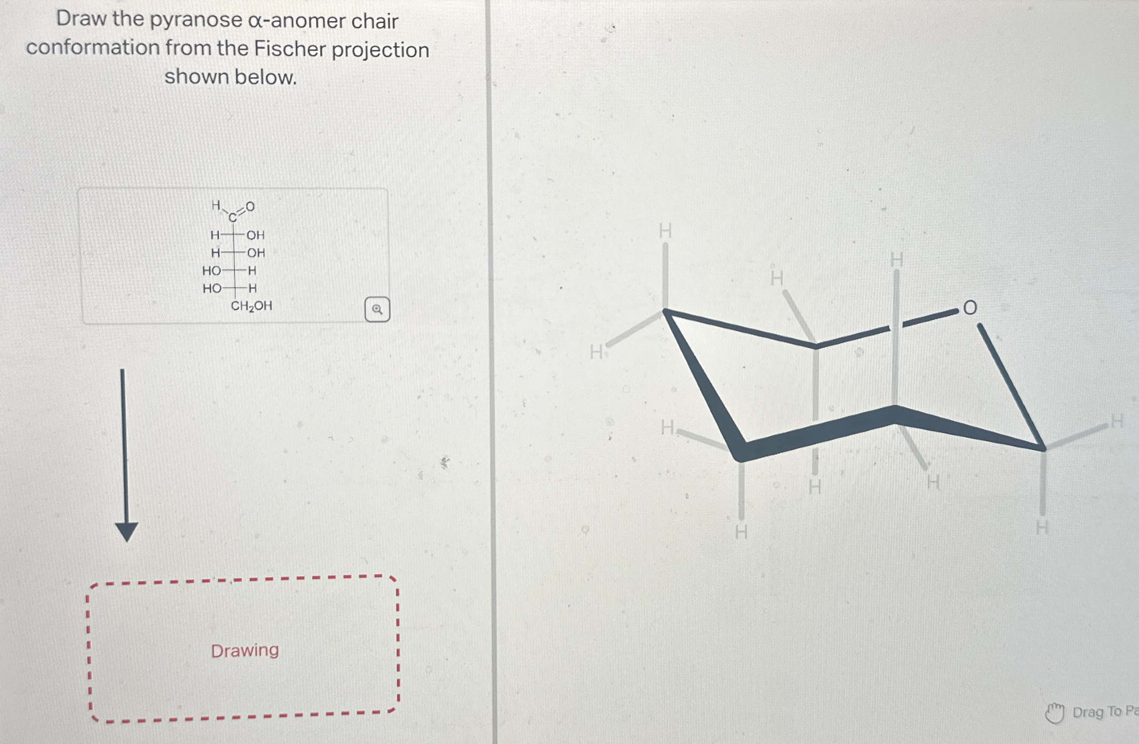 Solved Draw the pyranose α-anomer chair conformation from | Chegg.com