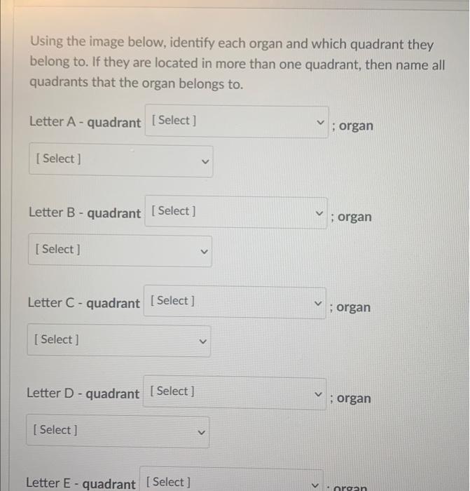 Using the image below, identify each organ and which | Chegg.com