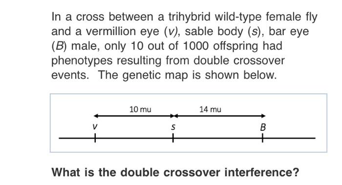 Solved In a cross between a trihybrid wild-type female fly | Chegg.com