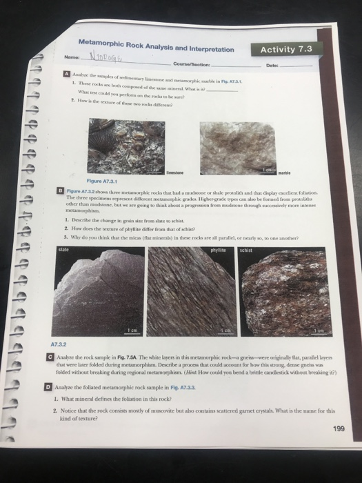 Metamorphic Rock Analysis and Interpretation Activity | Chegg.com