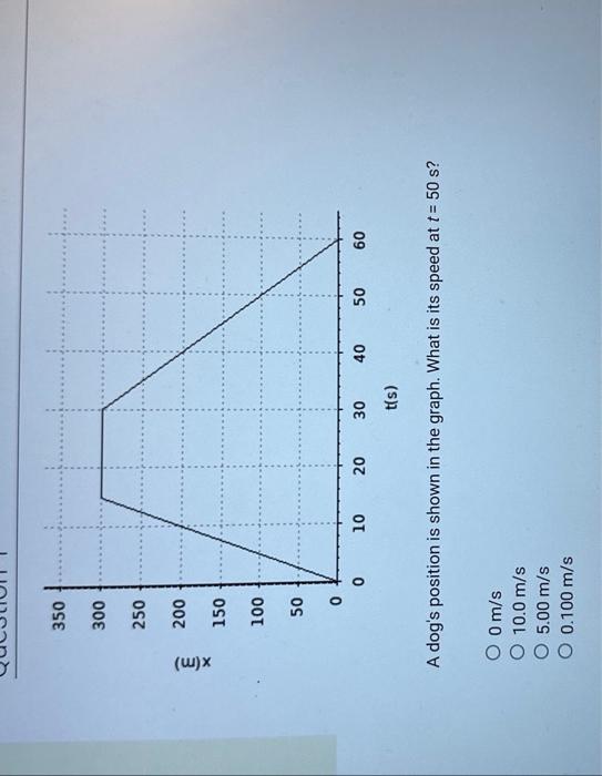 Solved A dog's position is shown in the graph. What is its | Chegg.com