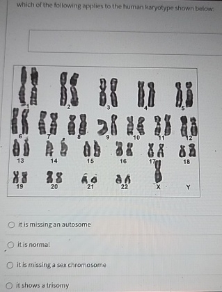 Solved which of the following applies to the human karyotype | Chegg.com