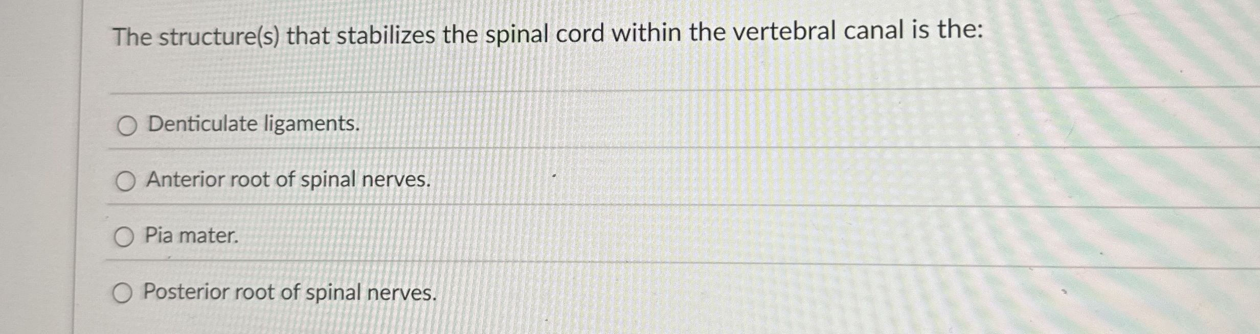 Solved The structure(s) ﻿that stabilizes the spinal cord | Chegg.com